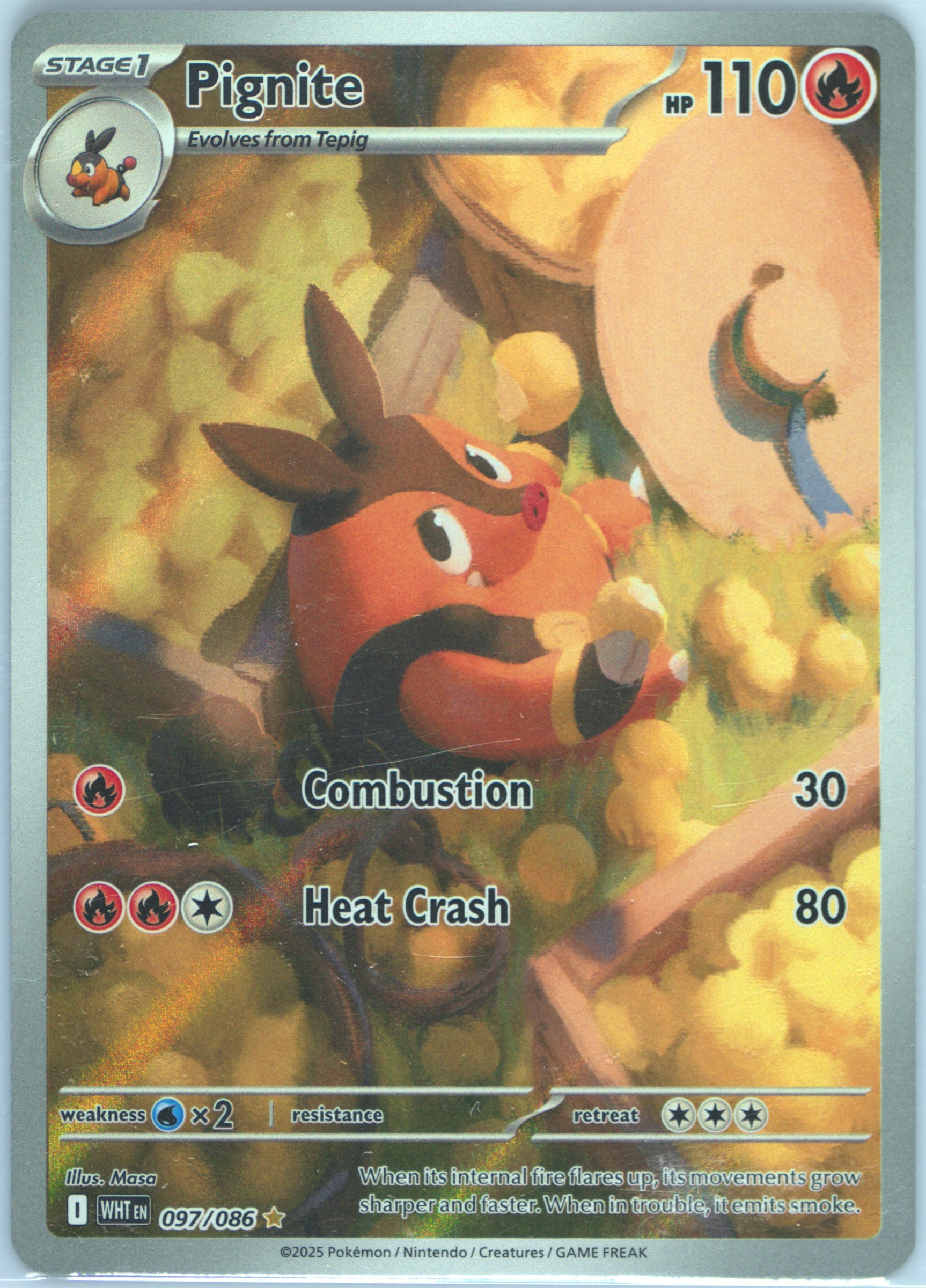 Pignite Illustration Rare (097) 2025 Pokemon Wht EN-White Flare ...
